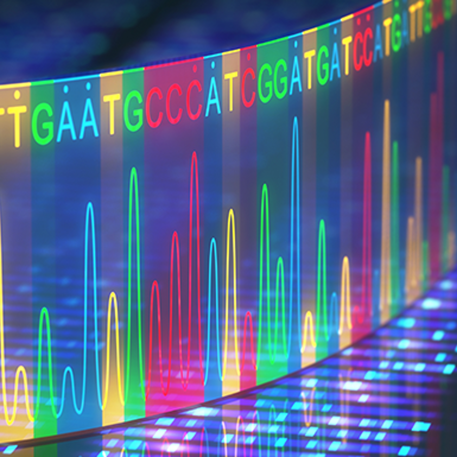 Sekvenavimas - NGS įranga - Grida